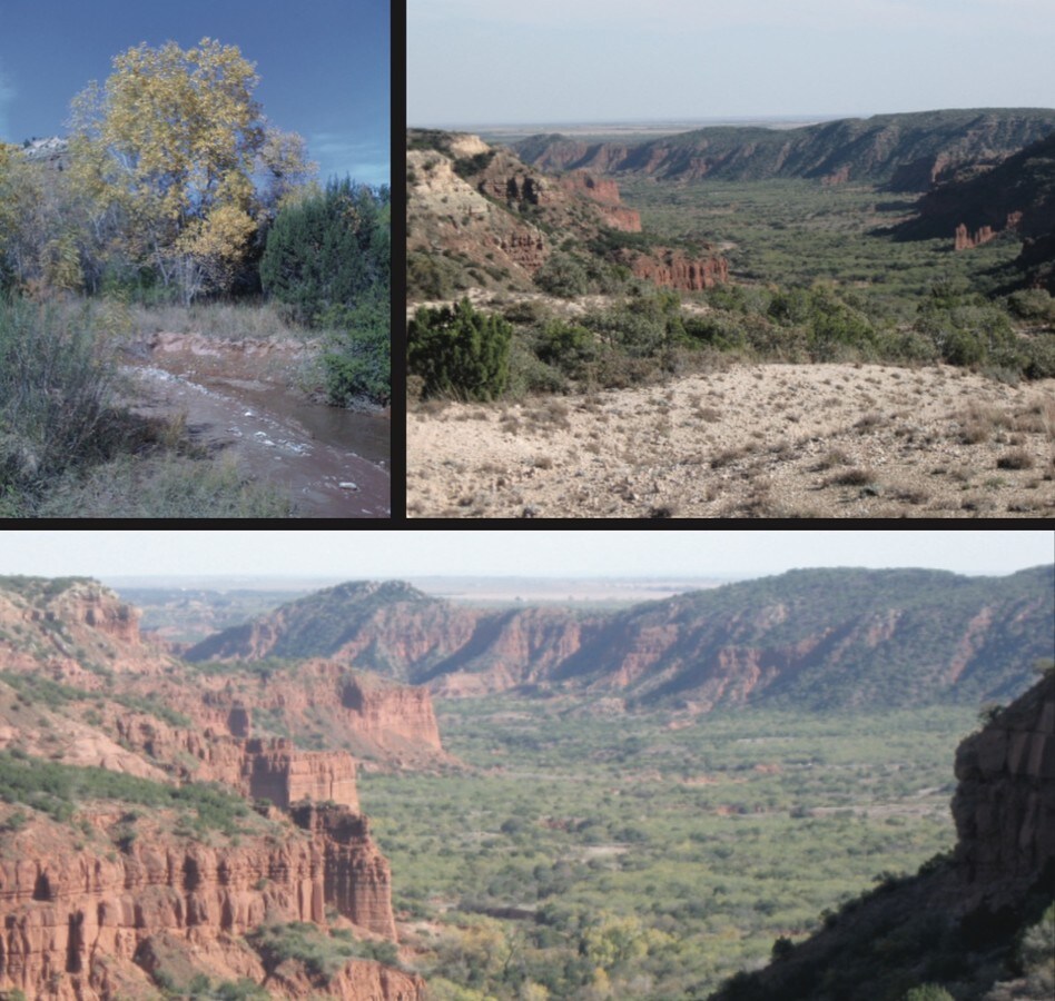 State Highway 256, Silverton, TX 79257 | LoopNet