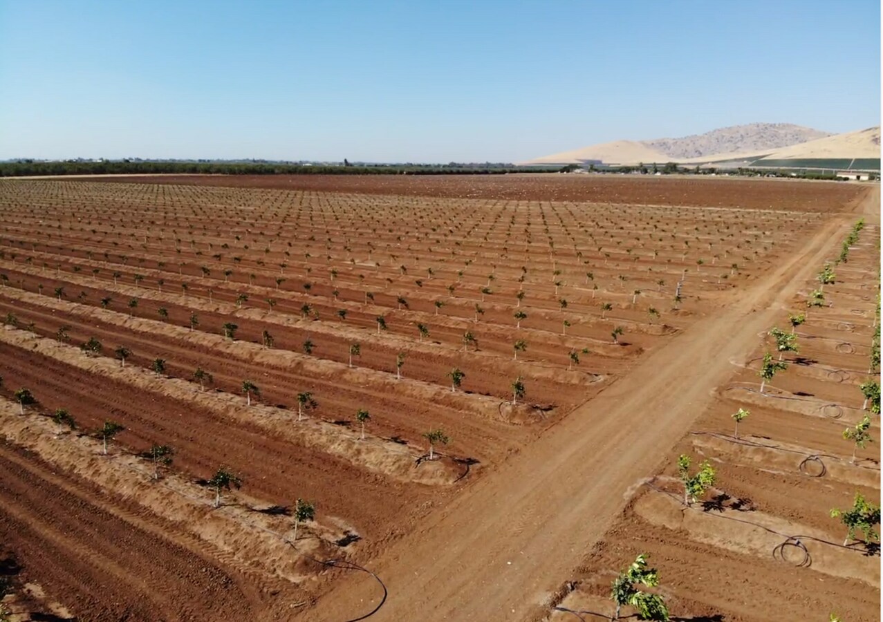 21982 Avenue 245, Lindsay, CA 93247 | LoopNet