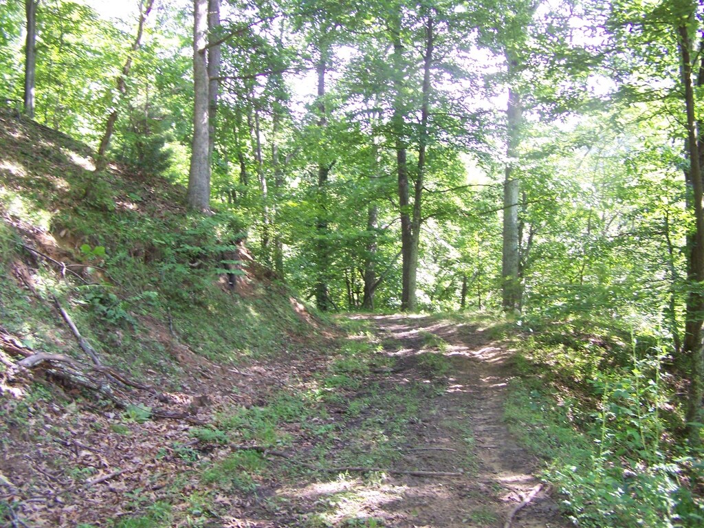 2504 Crabtree Mountain Rd, Clyde, NC 28721 | LoopNet