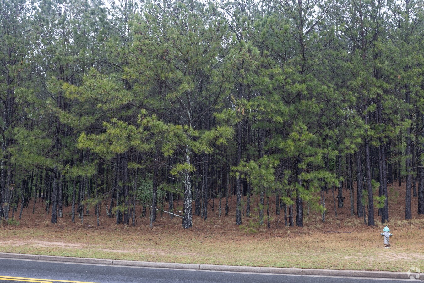 Walter Way, Stockbridge, GA 30281 | LoopNet