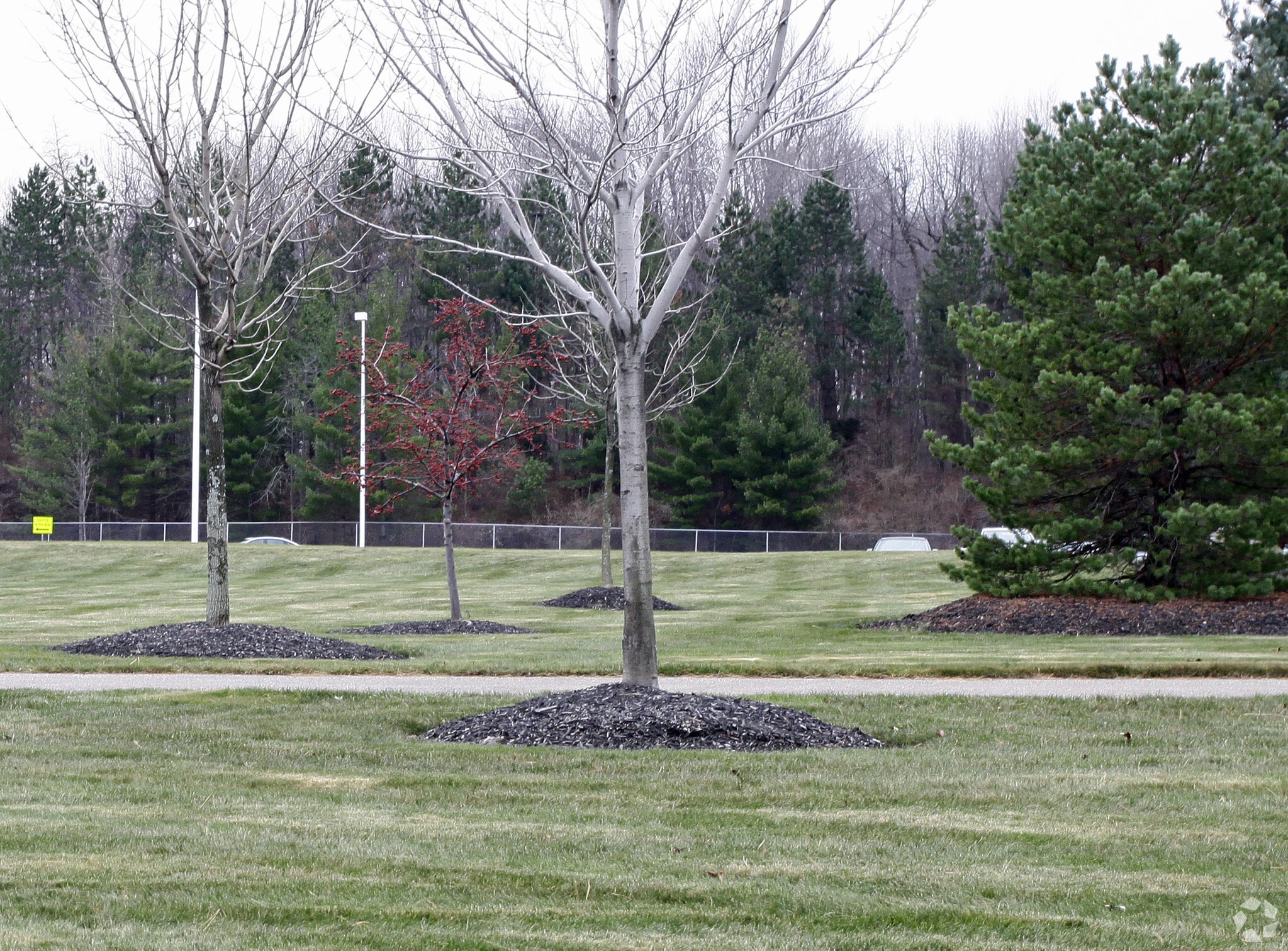 Detroit Rd, Avon, OH 44011 - Avon Commons Outlot | LoopNet