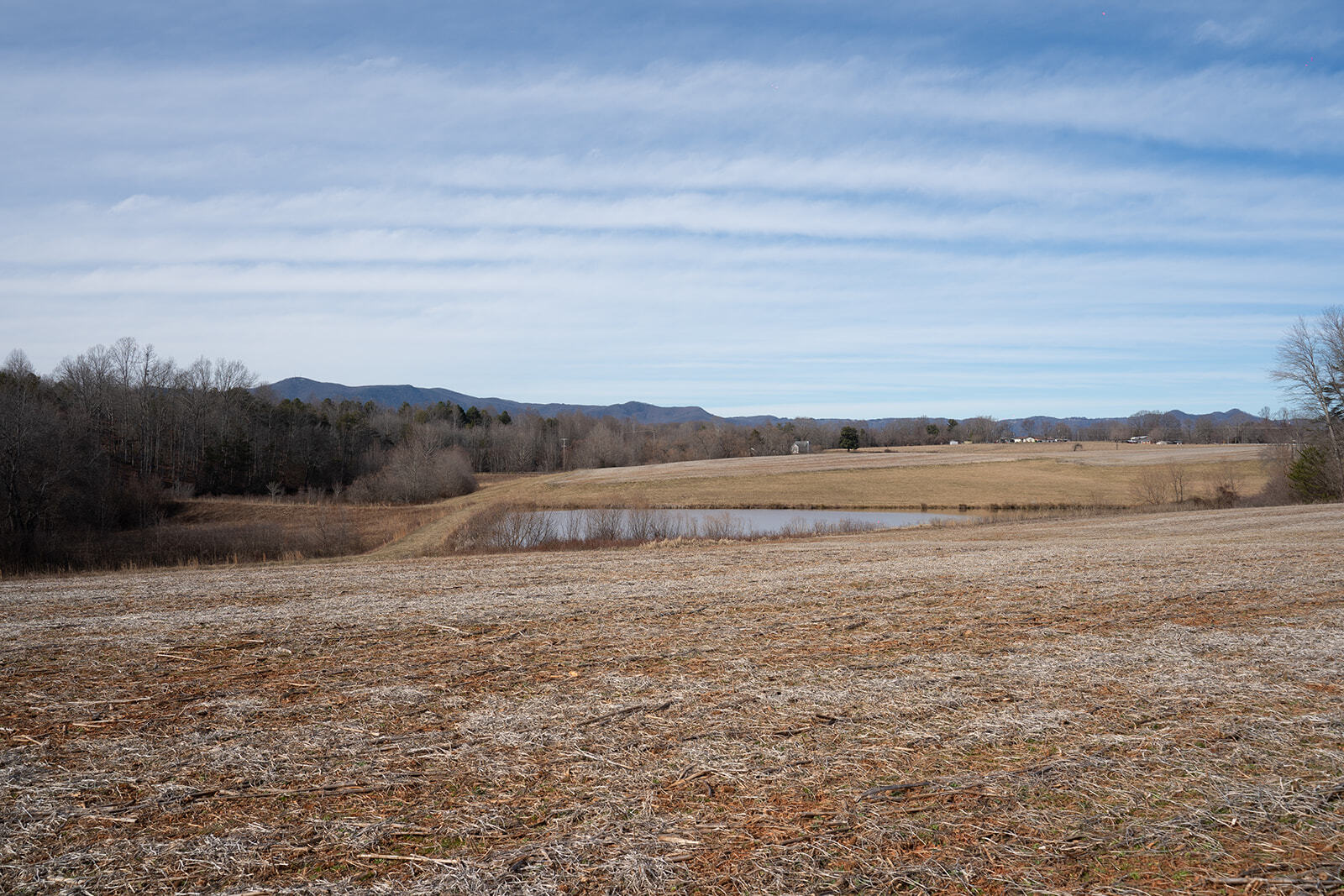 Pine Ridge Rd, Mount Airy, NC 27030 - Pine Ridge Road Farm | LoopNet