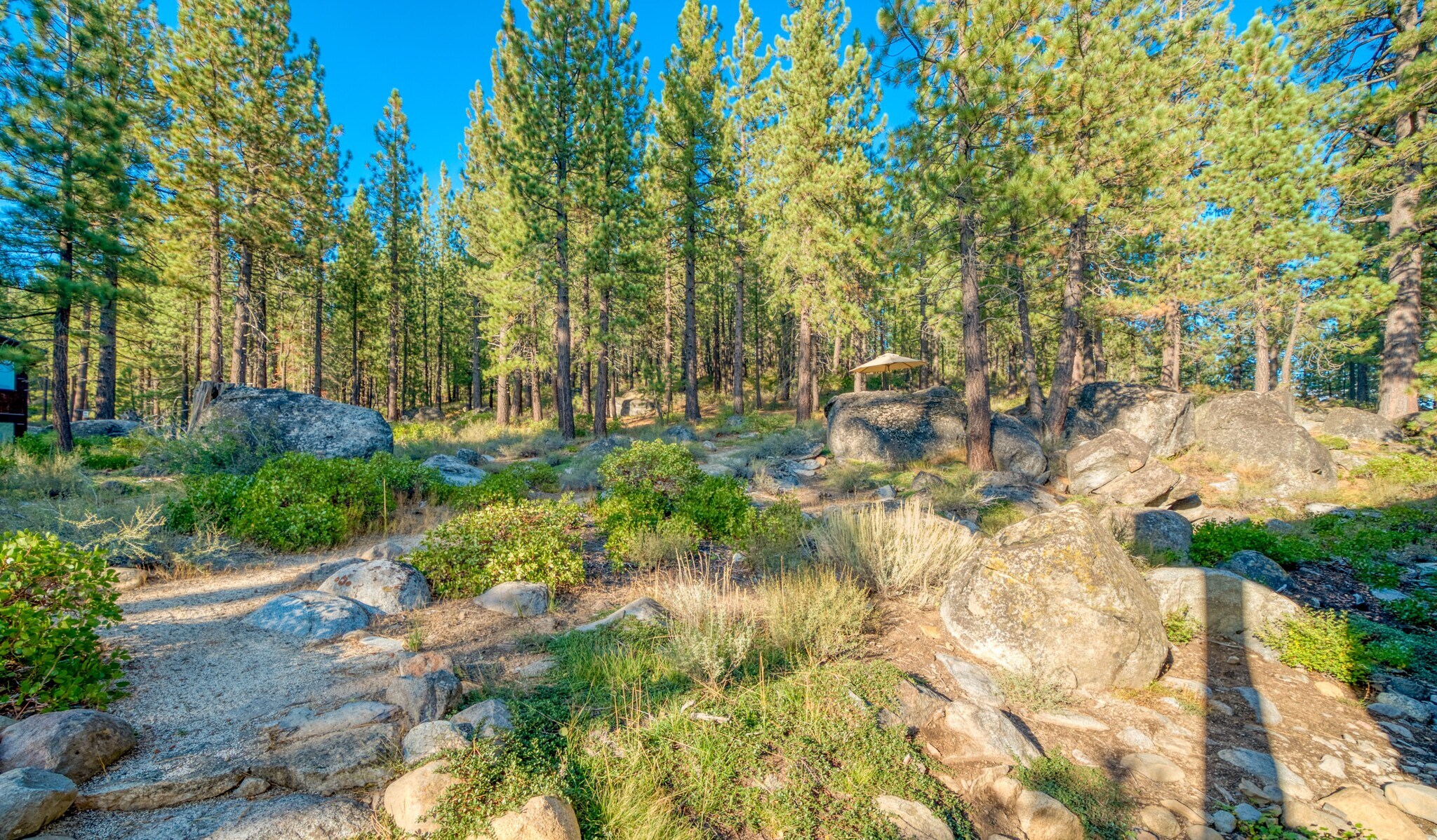 12010 Donner Pass Rd, Truckee, CA 96161 - Donner Trail Professional ...