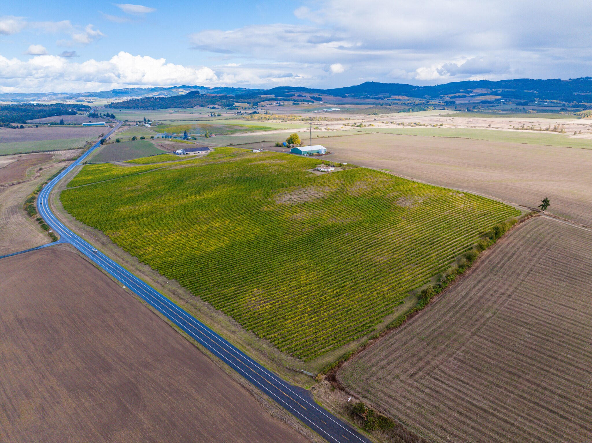 2095 Cadle Rd, Rickreall, OR 97371 - Vin Dillon Vineyard | LoopNet