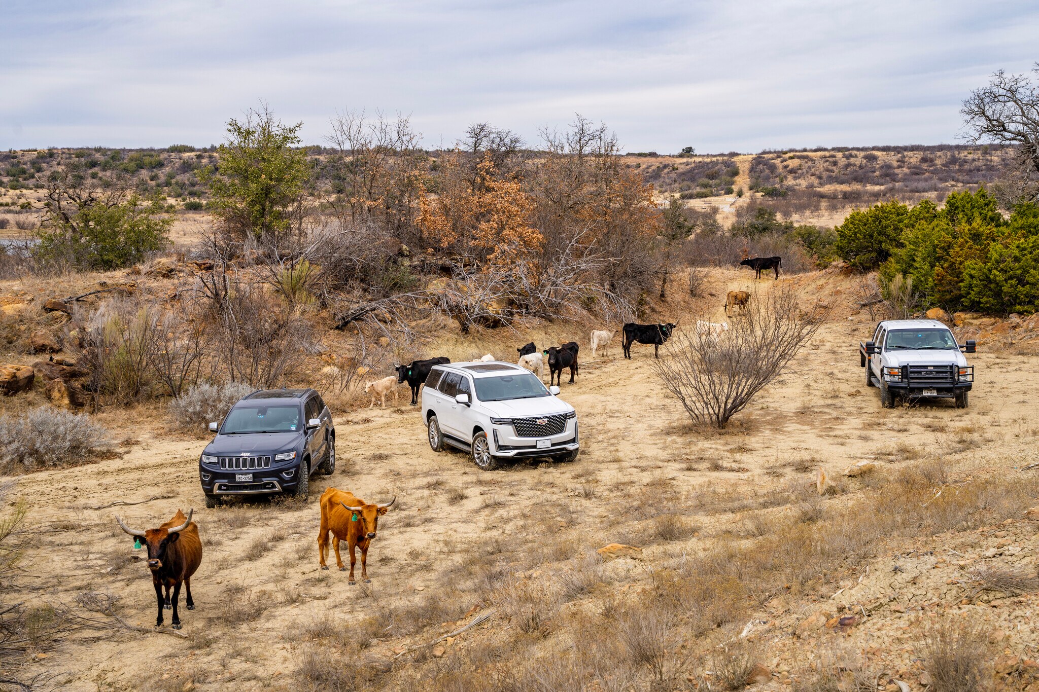 000 S&S Ranch, Strawn, TX 76475 - S & S Ranch | LoopNet