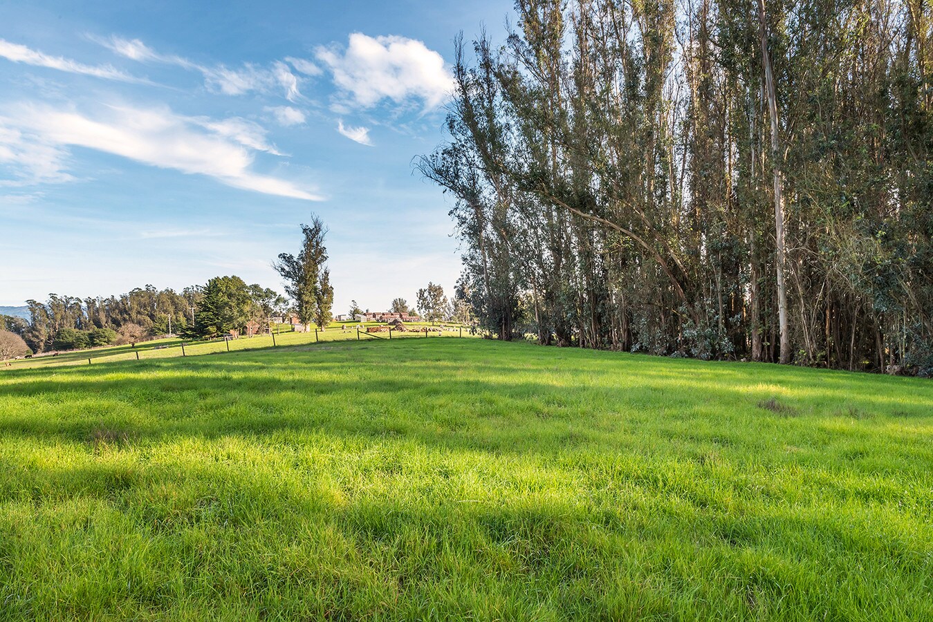 4774 Hessel Rd, Sebastopol, CA 95472 | LoopNet