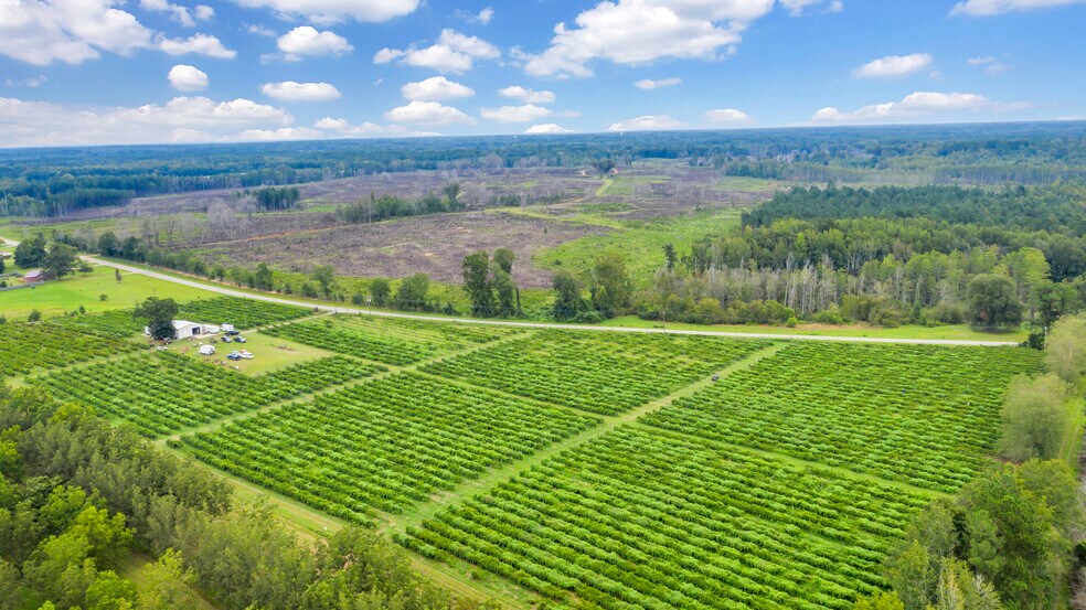 771 Grapevine Rd, Denmark, SC 29042 | LoopNet