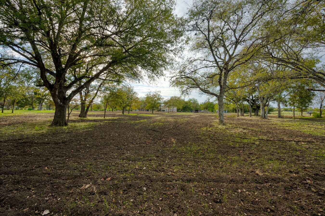 15991 Interstate 35 S, Atascosa, TX 78002 | LoopNet