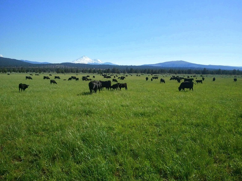 8217 Red Rock Rd, Macdoel, CA 96058 | LoopNet