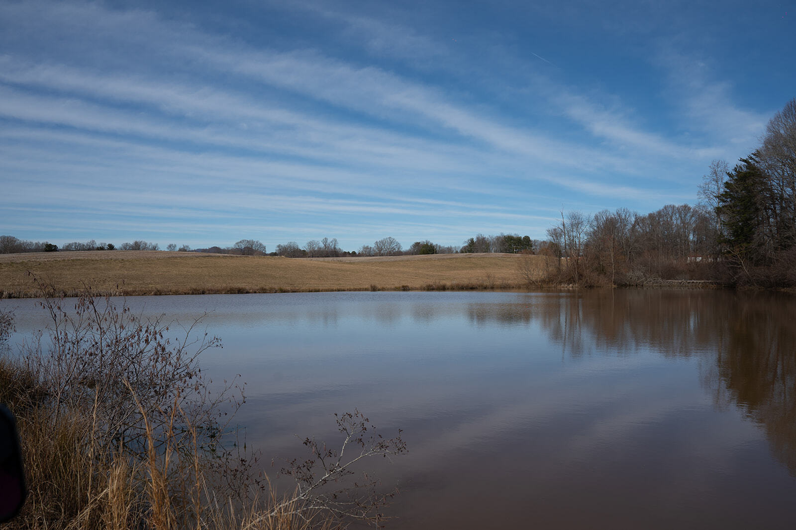 Pine Ridge Rd, Mount Airy, NC 27030 - Pine Ridge Road Farm | LoopNet