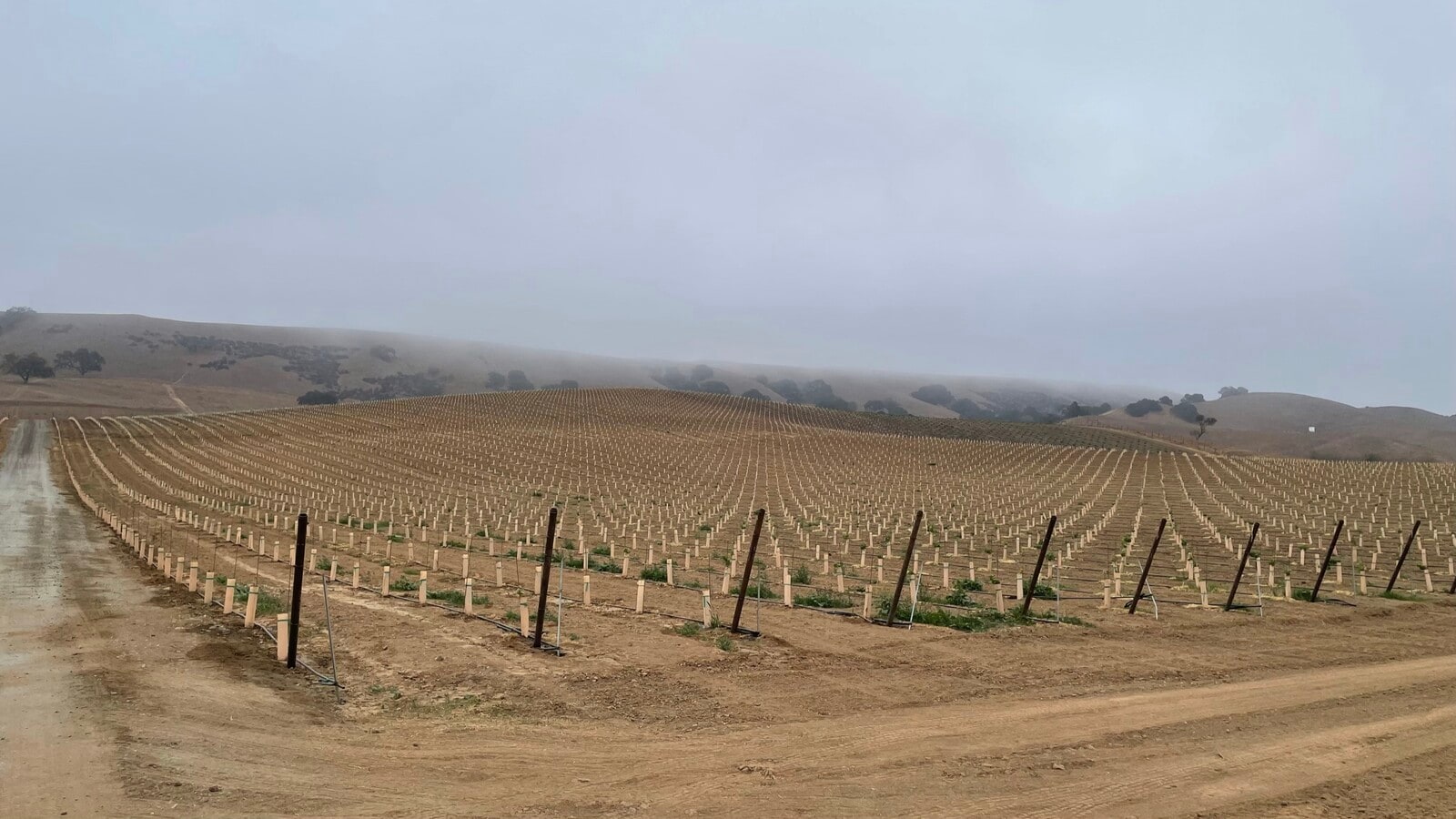3385 Pacheco Pass Hwy, Gilroy, CA 95020 | LoopNet 3385 Pacheco Pass Hwy, Gilroy, CA 95020 | LoopNet