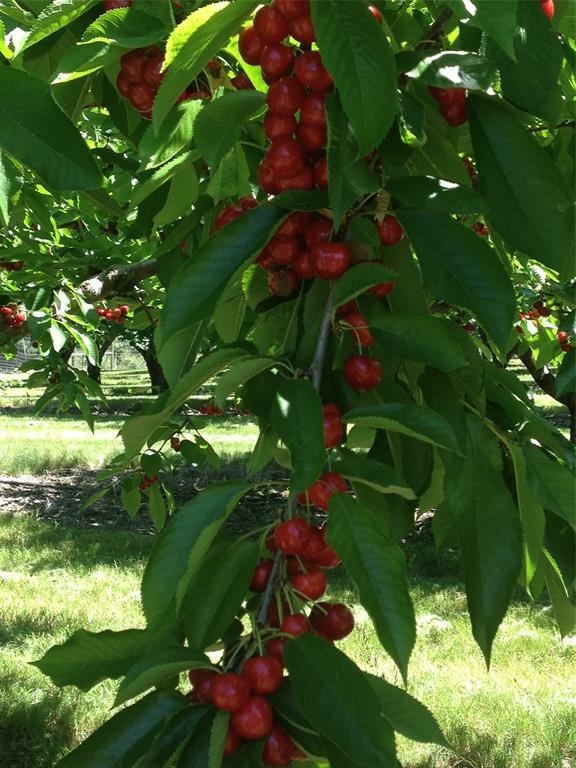 32624 S Finley Point Rd, Polson, MT 59860 - Specialty for Sale | LoopNet