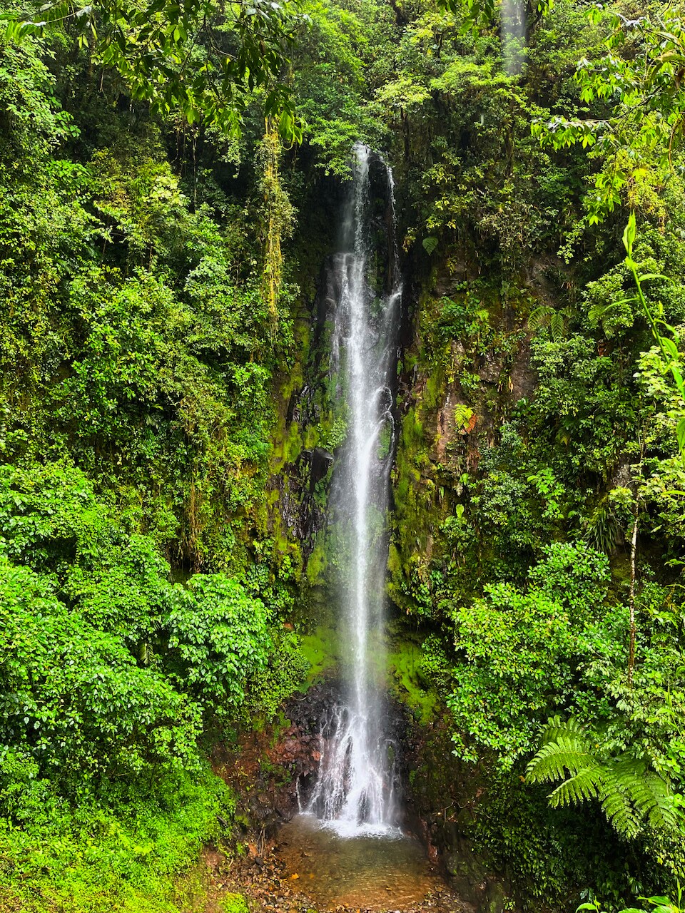 Zarcero, 21203 Toro Amarillo - Land for Sale | LoopNet