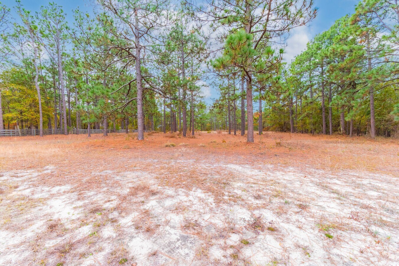 559 Two Notch Rd, Lexington, SC 29073 - 559 Two Notch Rd. | LoopNet