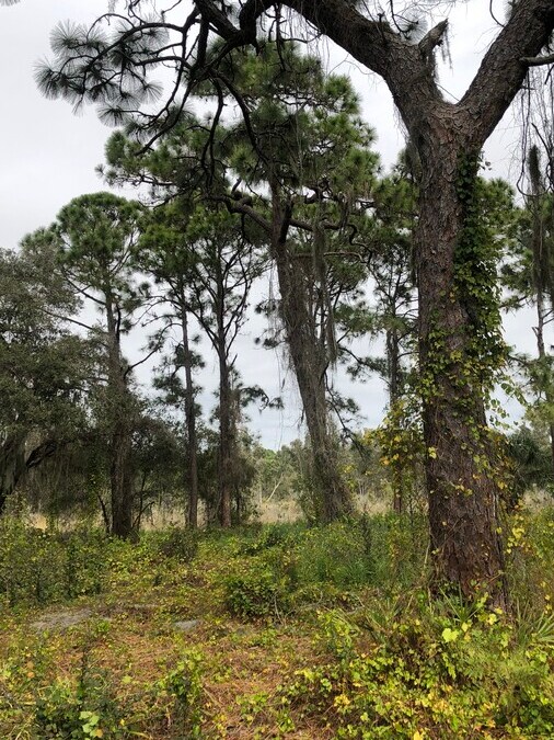 20 Stoner Rd, Englewood, FL 34223 | LoopNet