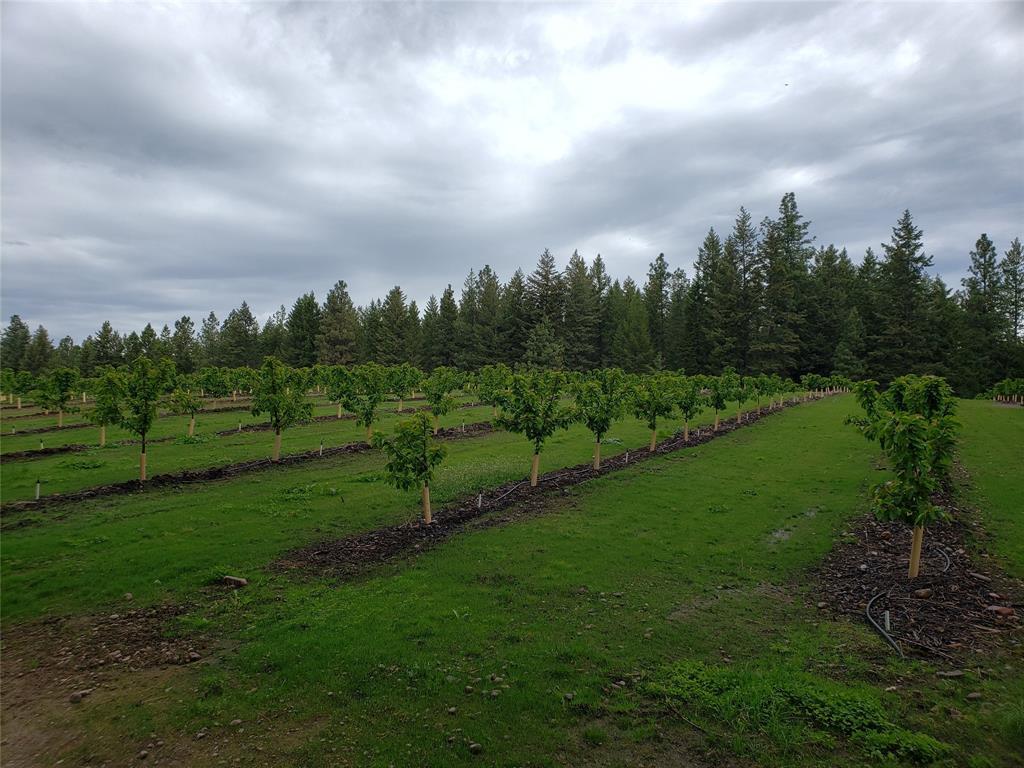 32624 S Finley Point Rd, Polson, MT 59860 - Specialty for Sale | LoopNet