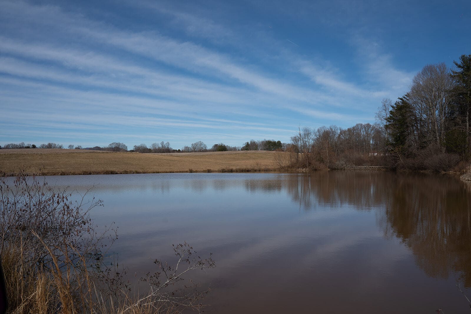 Pine Ridge Rd, Mount Airy, NC 27030 - Pine Ridge Road Farm | LoopNet