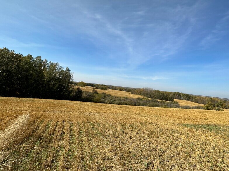 532A Rge Rd 21 Twp, Parkland County, AB T0E 0H0 - Land for Sale | LoopNet