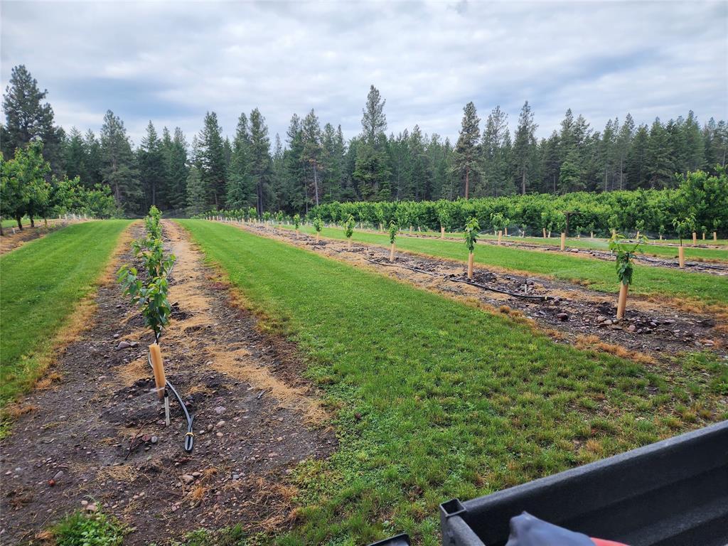 32624 S Finley Point Rd, Polson, MT 59860 - Specialty for Sale | LoopNet