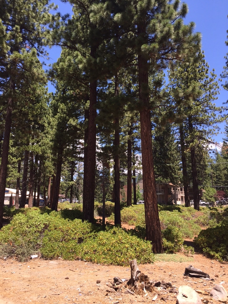 900 Incline Way, Incline Village, NV 89451 - Land for Sale | LoopNet