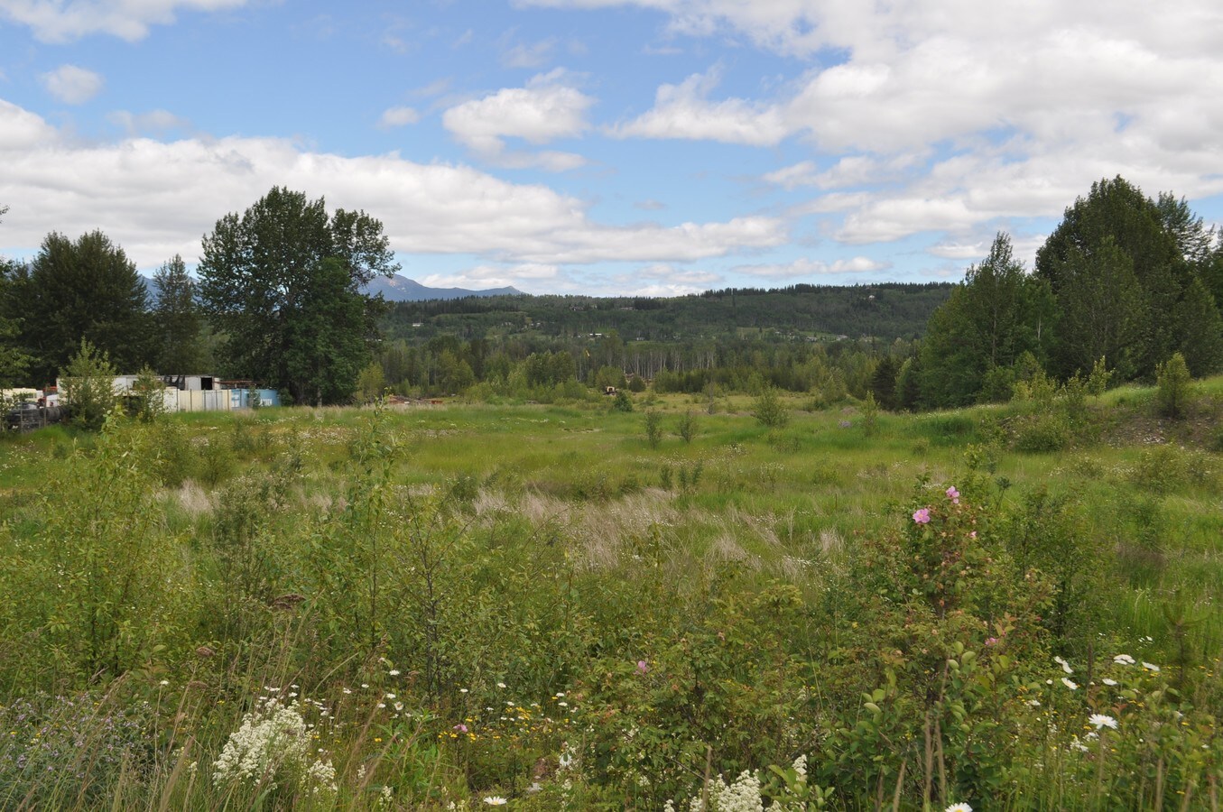 3436 Victoria Drive Pl, Smithers, BC V0J 2N0 | LoopNet