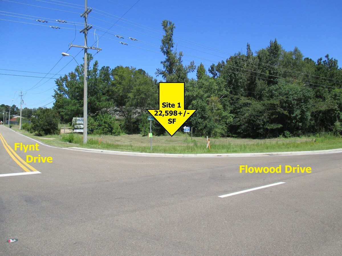 Northeast Corner Of Flowood Drive & Flynt Drive, Flowood, MS 39232 ...