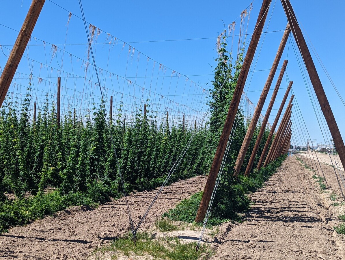 Simplot, Caldwell, ID 83607 | LoopNet