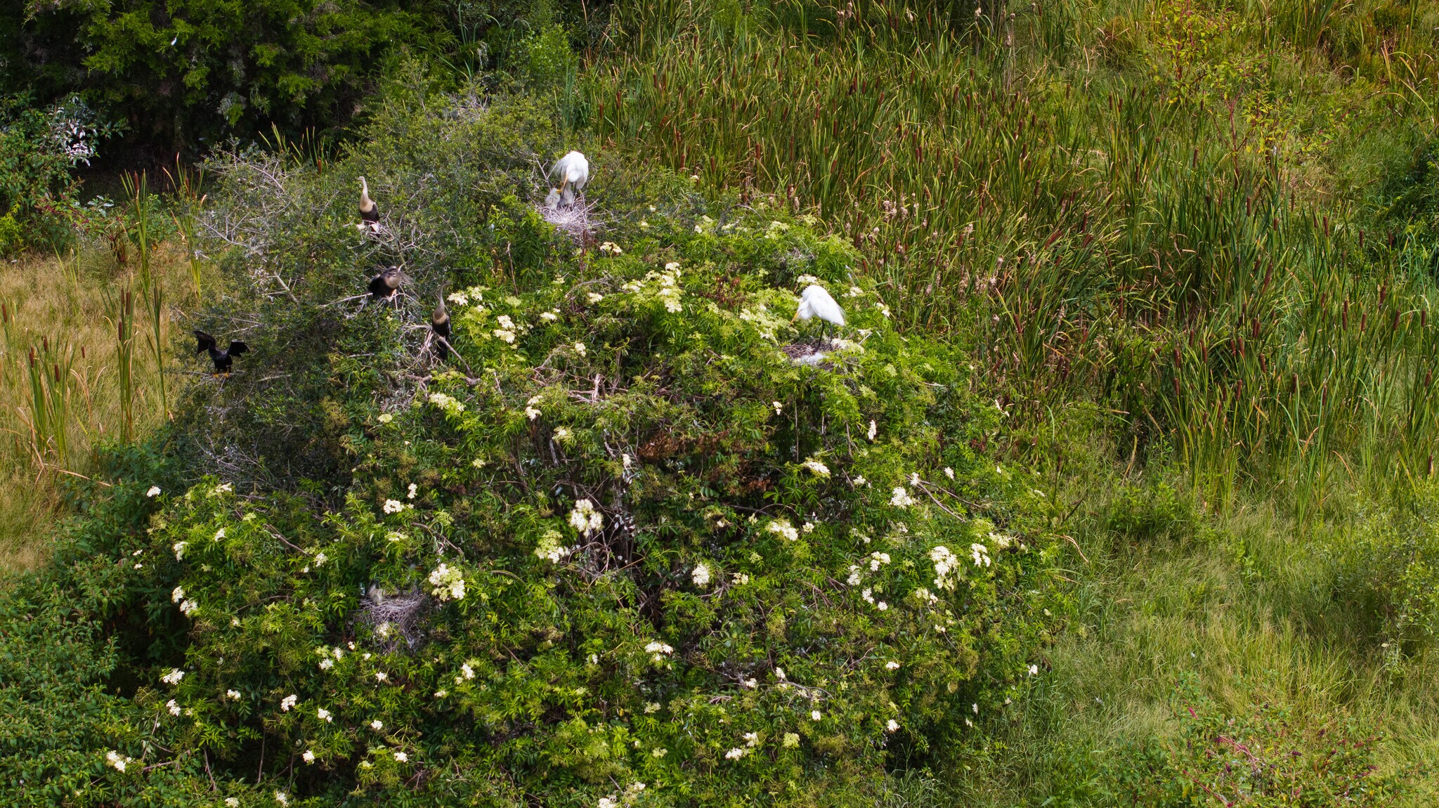 1300 Retreat Rd, Riceboro, GA 31323 - Hampton Island Preserve | LoopNet