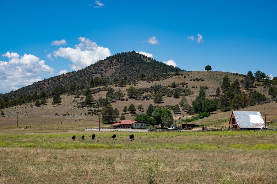6613 Scarface Rd, Fort Jones, CA 96032 - IX Ranch | LoopNet