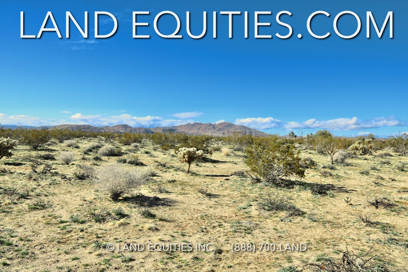 White Feather Rd, Joshua Tree, CA 92252 | LoopNet