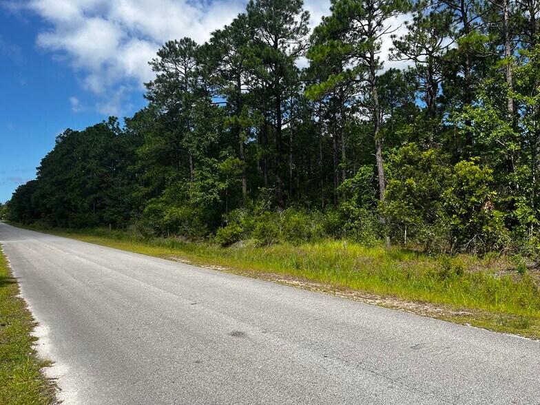 West Boiling Spring Road, Boiling Spring Lakes, NC 28461 - Vacant ...