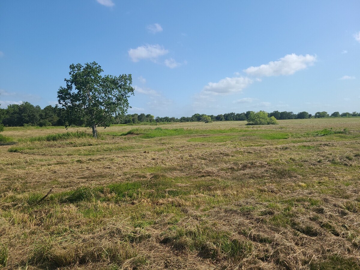 0- TRACT 5 COUNTY ROAD 25, Damon, TX 77430 | LoopNet