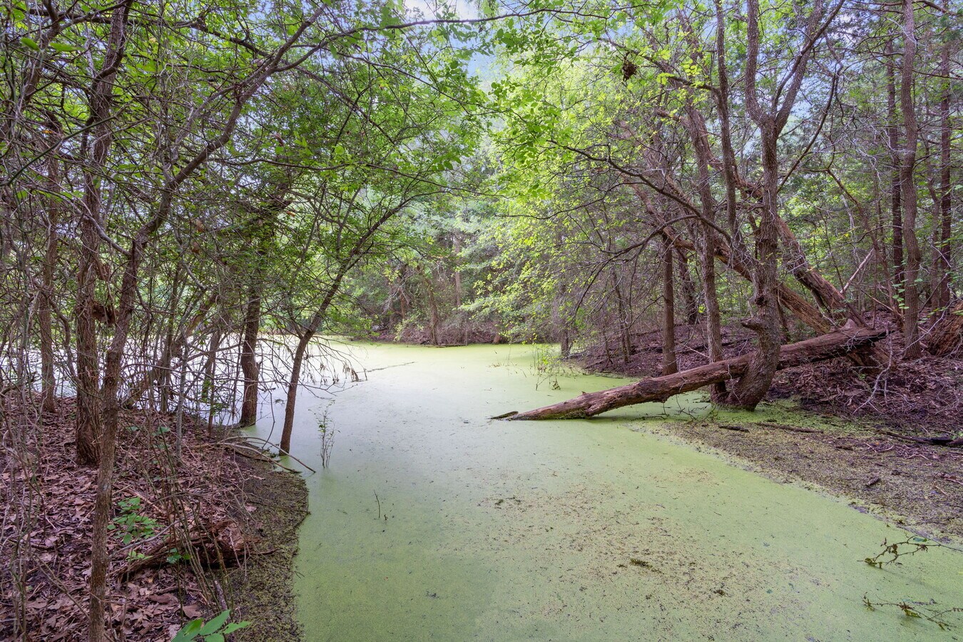 190 Red Robin Rd, Red Rock, TX 78662 | LoopNet