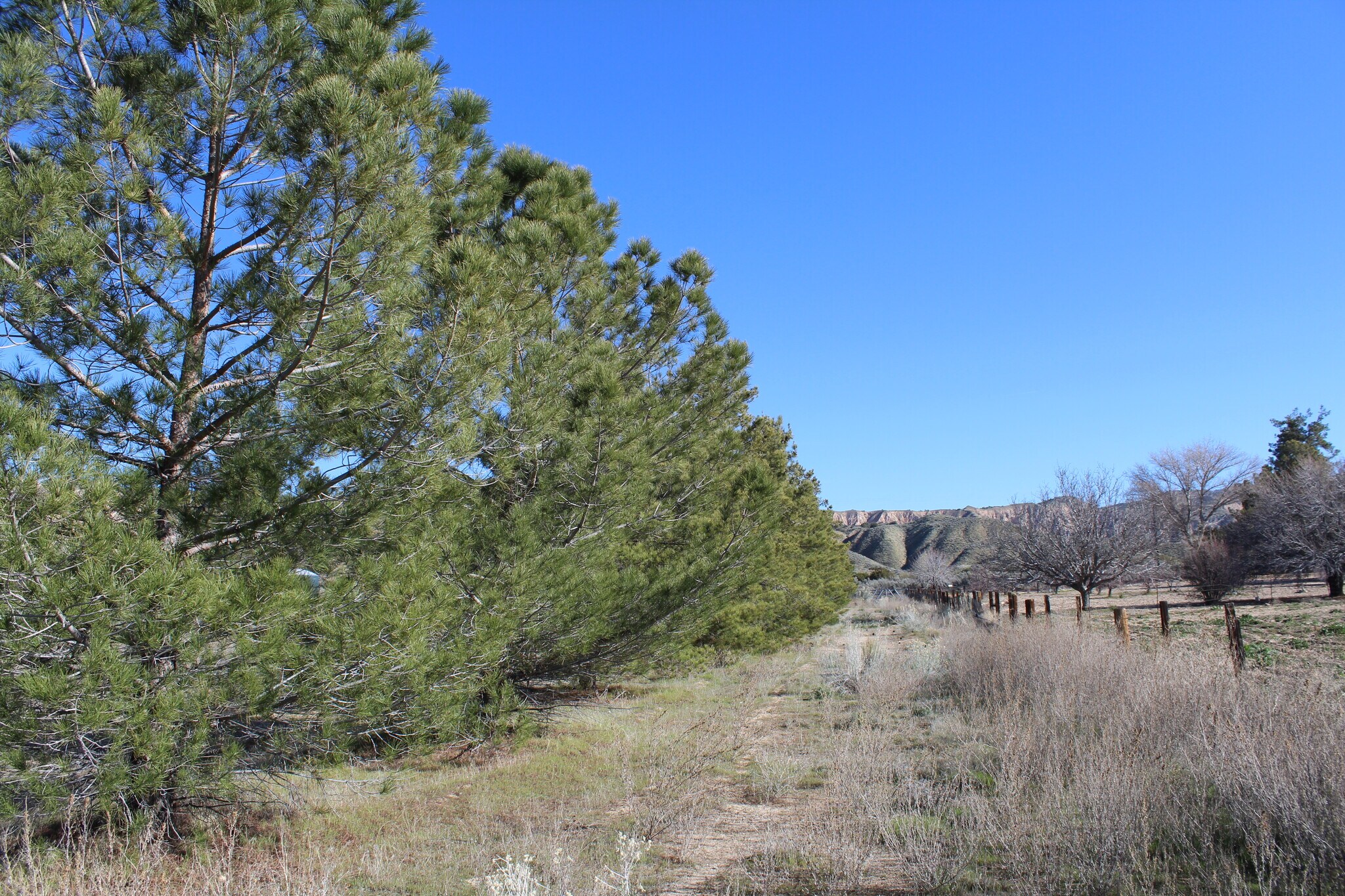 4190 Quatal Canyon Rd, Maricopa, CA 93252 - 4190 Quatal | LoopNet