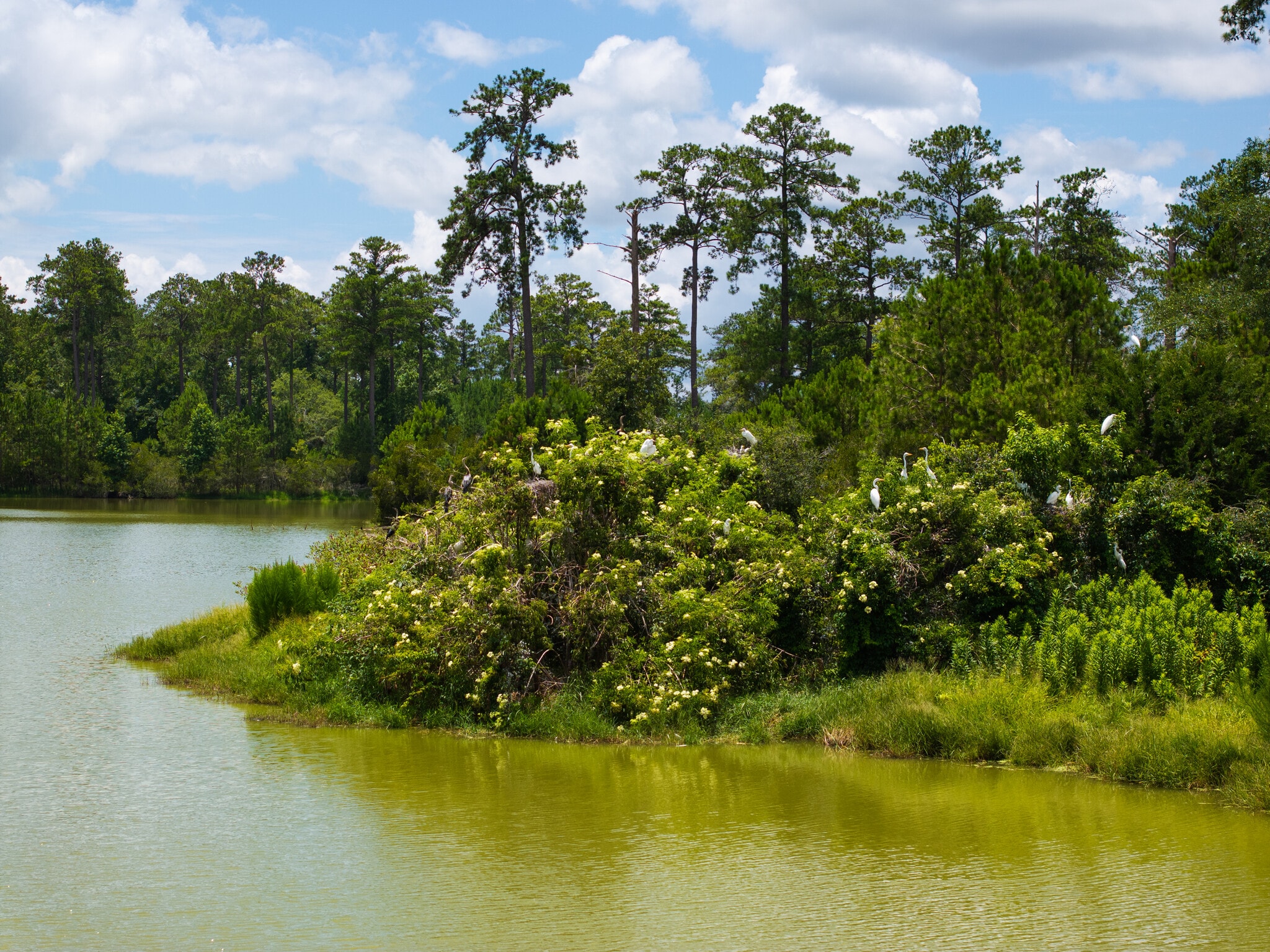 1300 Retreat Rd, Riceboro, GA 31323 - Hampton Island Preserve | LoopNet