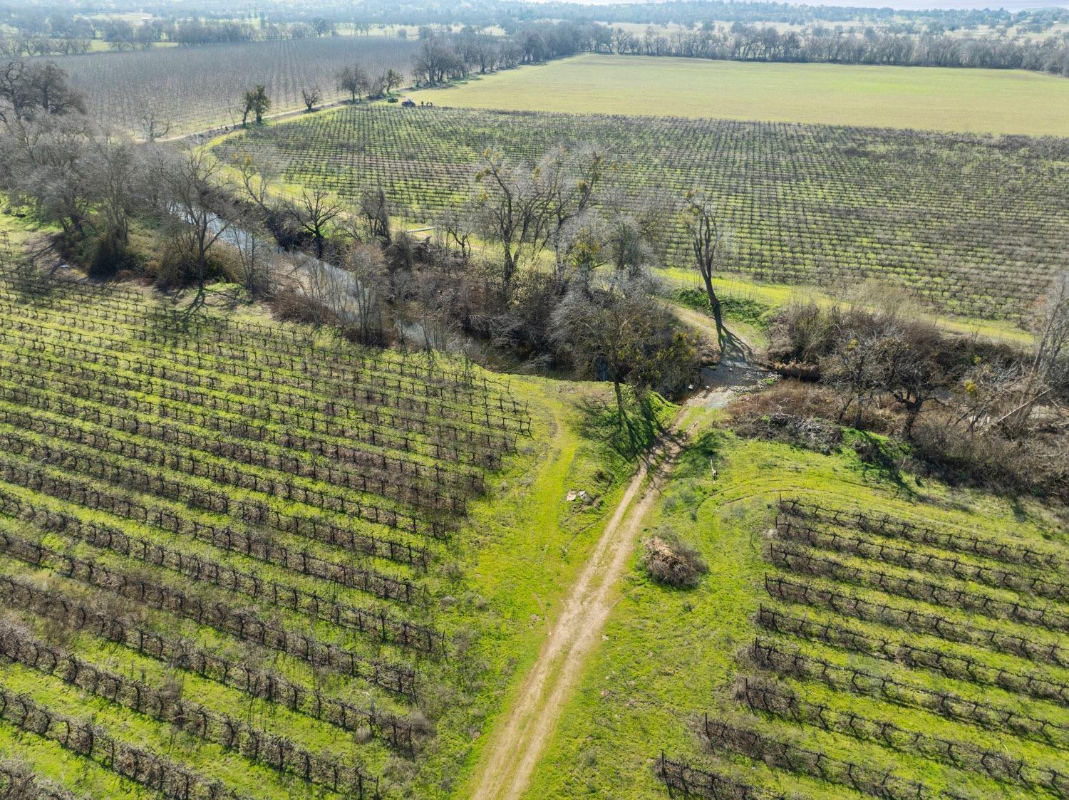 3900 Jackson Valley Rd, Ione, CA 95640 - Jackson Valley Vineyard ...