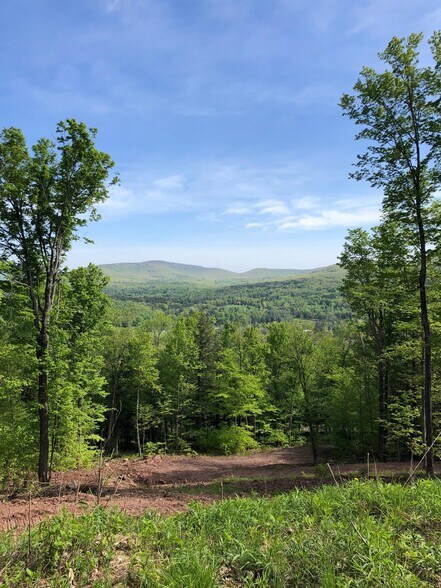 11 Copper Ridge Trail, Windham, NY 12496 - Windham Mountain Copper ...