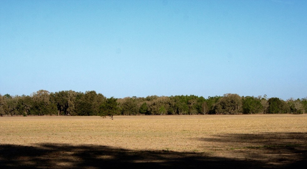 N Old Foley Rd, Perry, FL 32347 | LoopNet