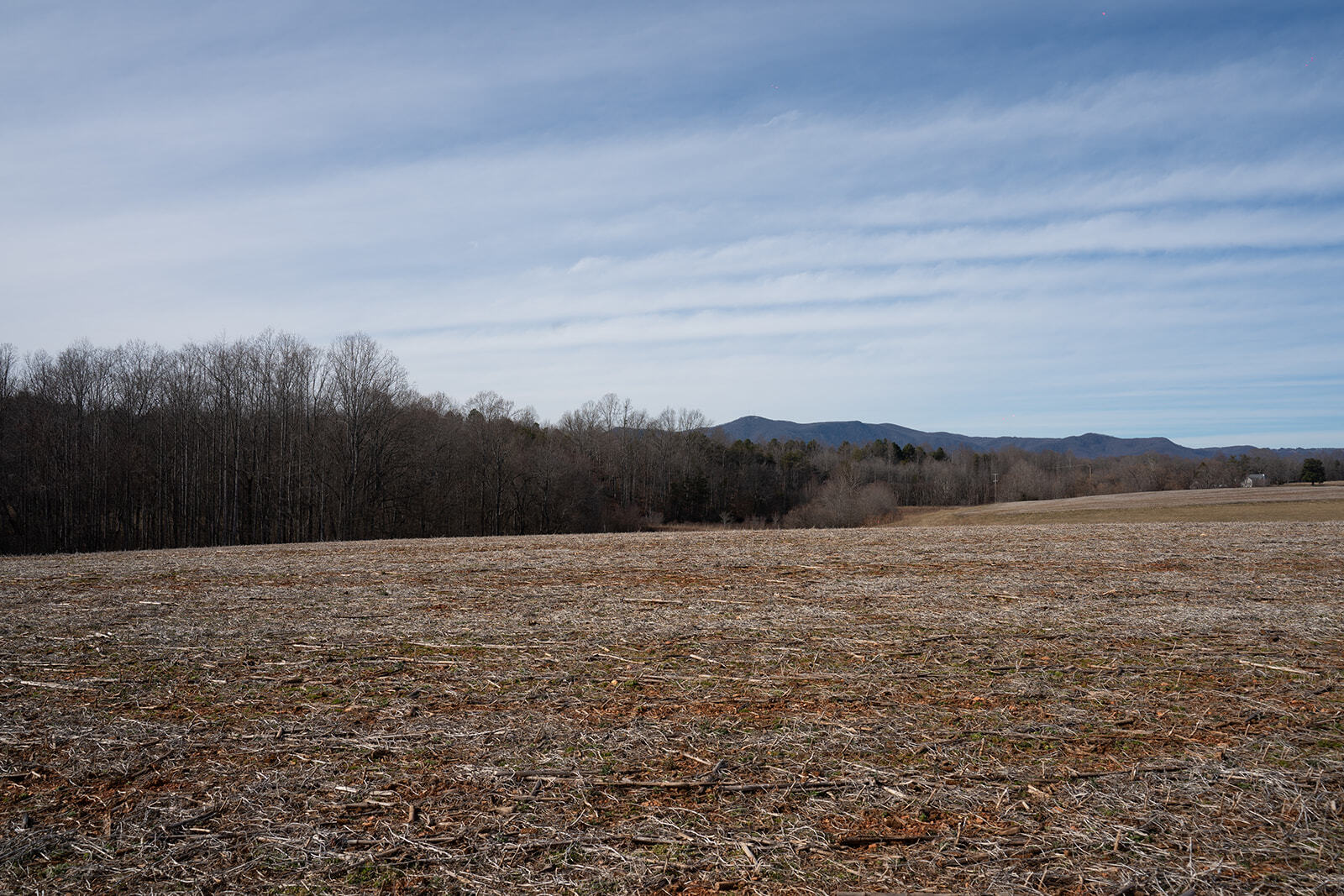 Pine Ridge Rd, Mount Airy, NC 27030 - Pine Ridge Road Farm | LoopNet