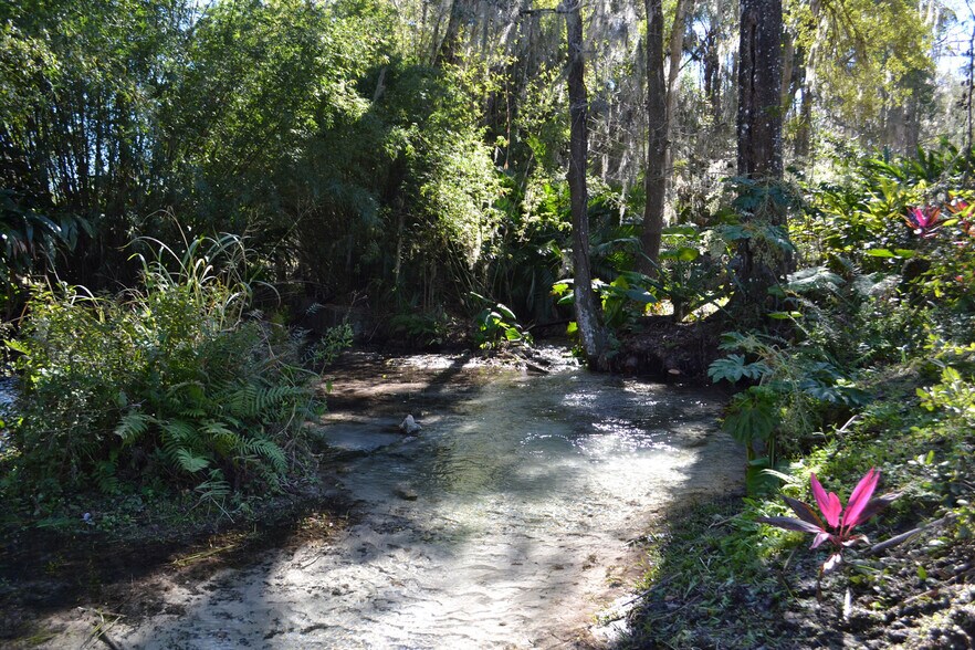 27106 Robertson Rd, Yalaha, FL 34797 | LoopNet