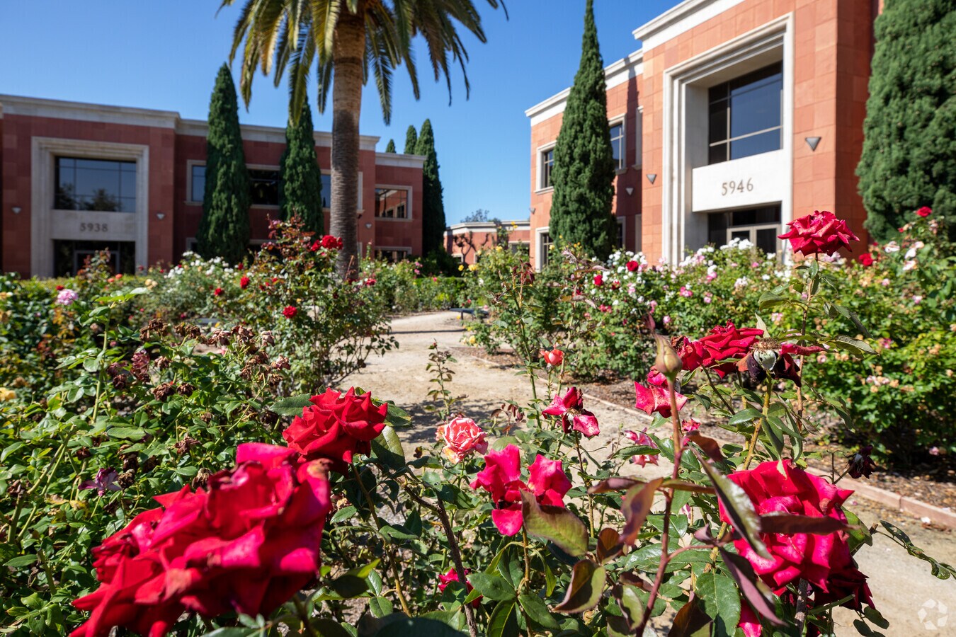 5950 Priestly Dr, Carlsbad, CA 92008 | LoopNet