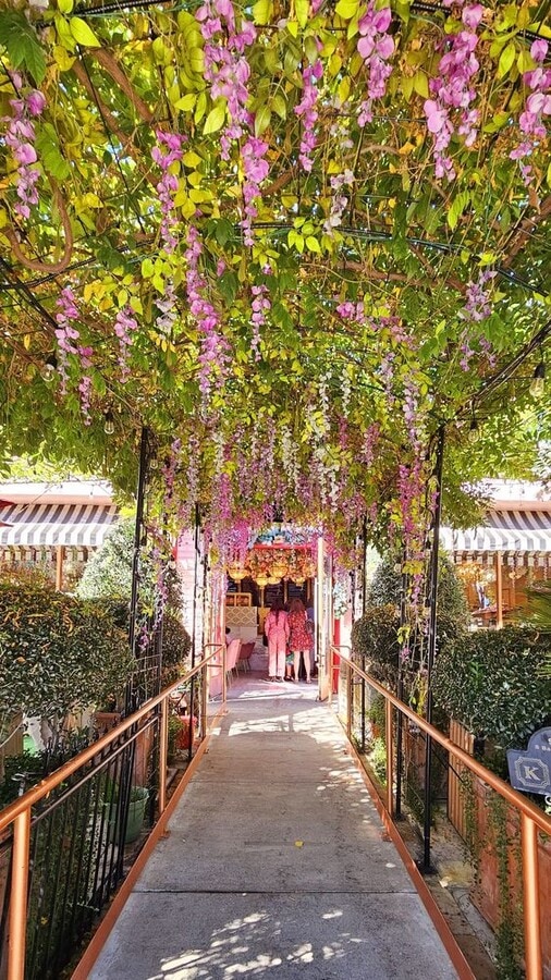 923 S Bascom Ave, San Jose, CA 95128 - K Cafe Patisserie & Tea House ...