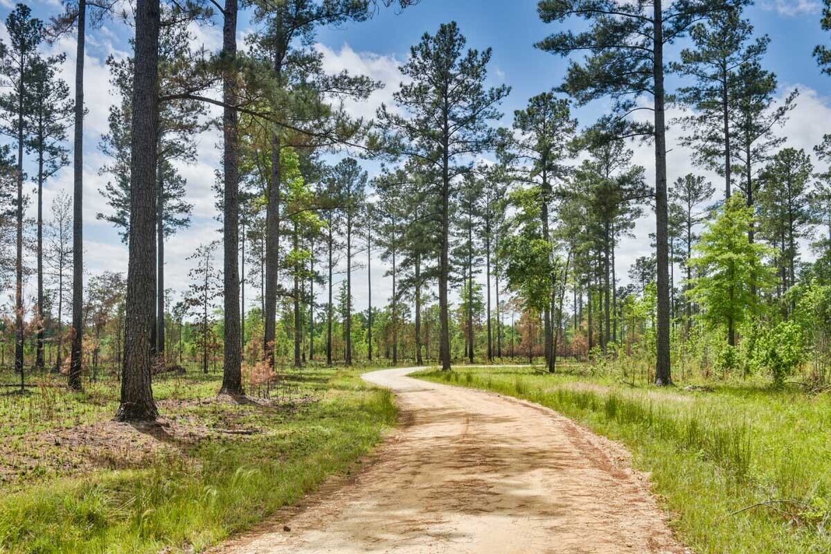 3000 Claremont Rd, Rembert, SC 29128 | LoopNet