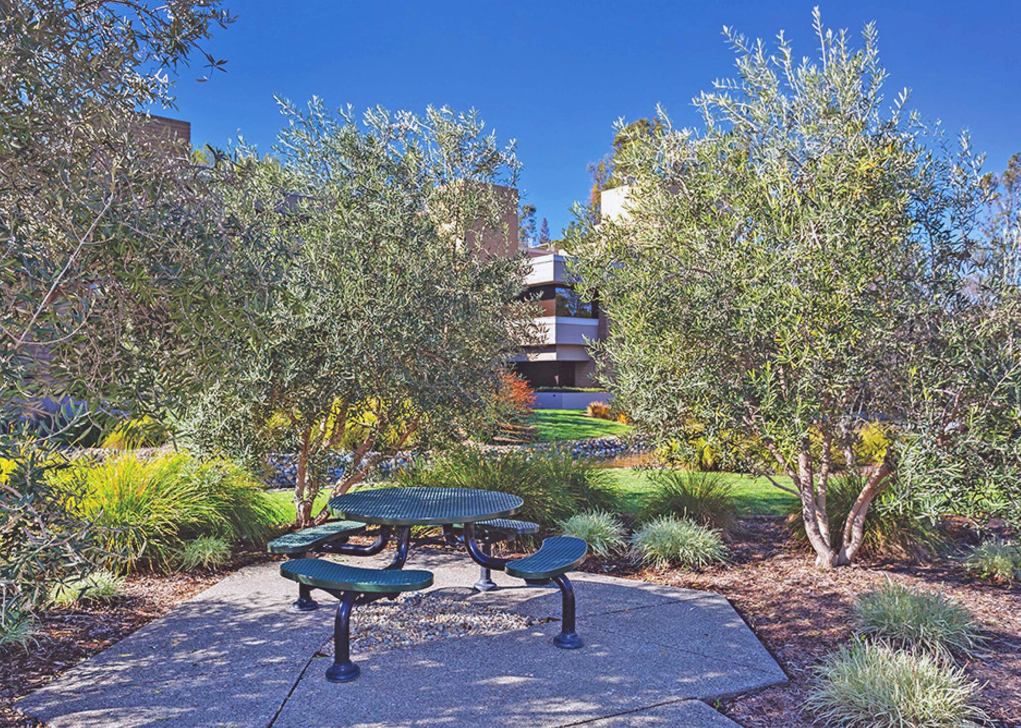 2455 Bennett Valley Rd, Santa Rosa, CA 95404 - Waterfall Towers | LoopNet