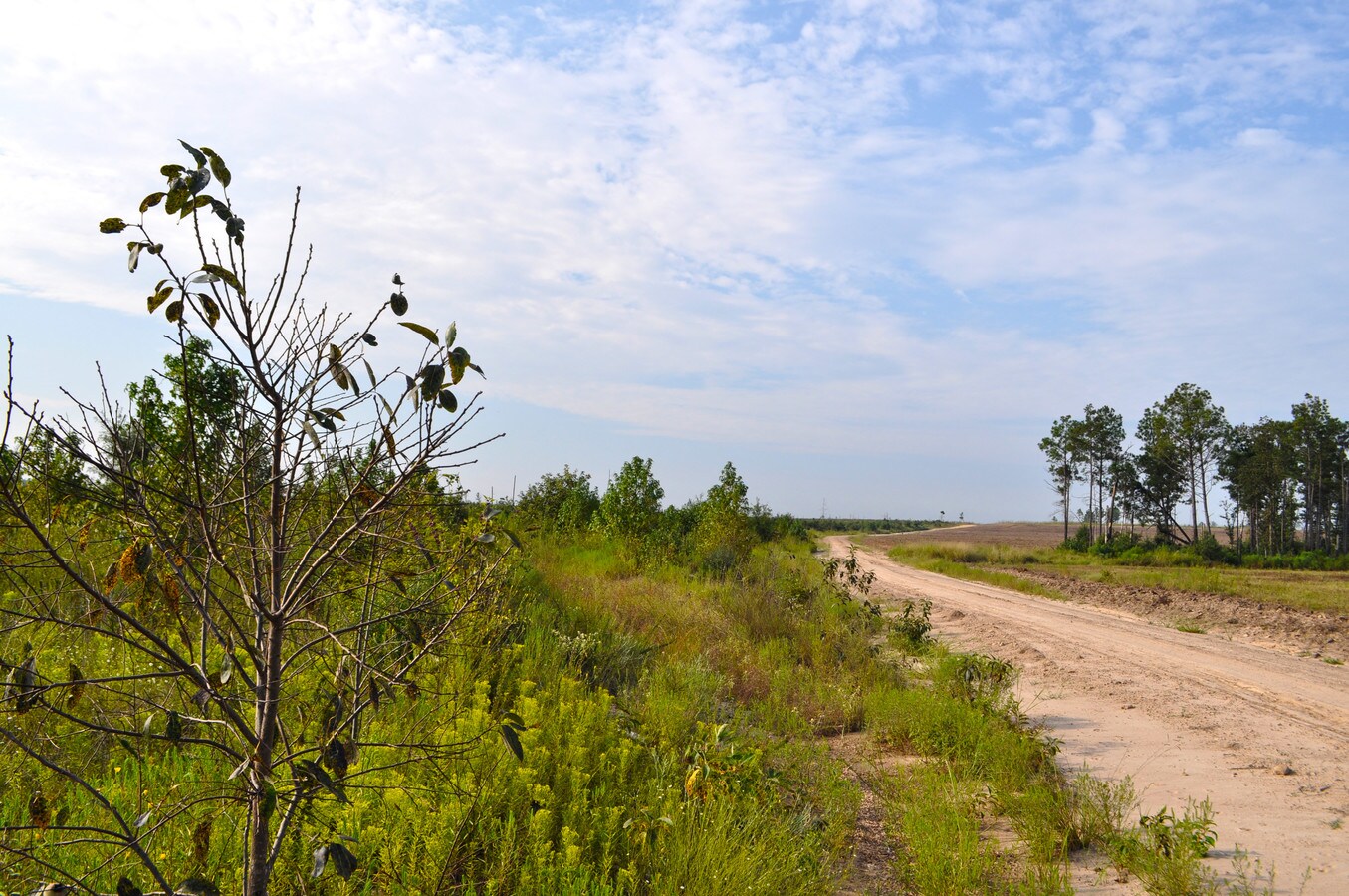 Fm 2262, Groveton, TX 75845 | LoopNet