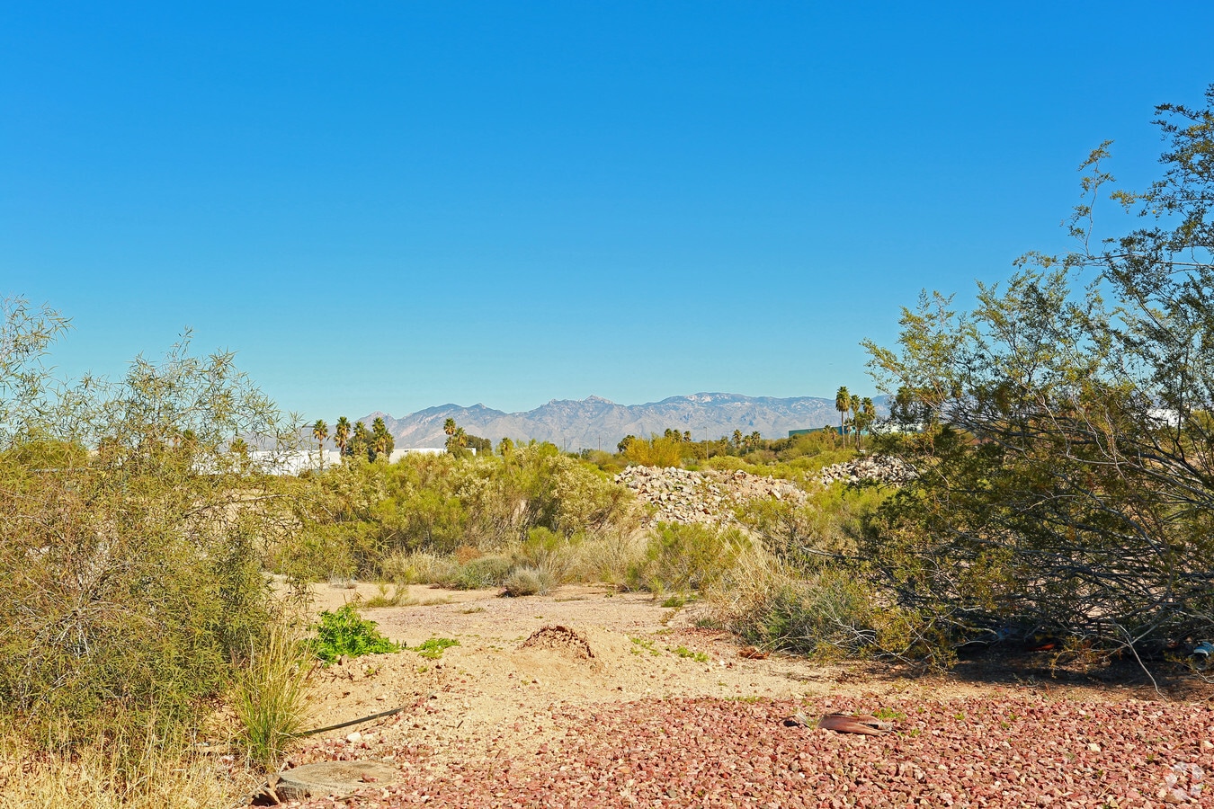 6300 S Palo Verde Rd, Tucson, AZ 85706 - Land for Sale | LoopNet