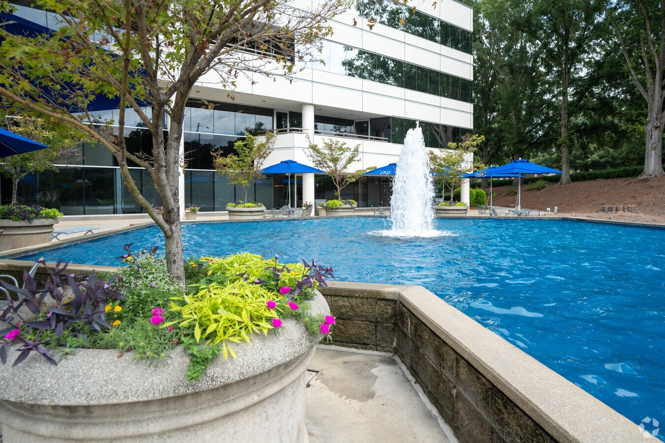 6601 Six Forks Rd, Raleigh, NC 27615 - Northchase at Midtown | LoopNet