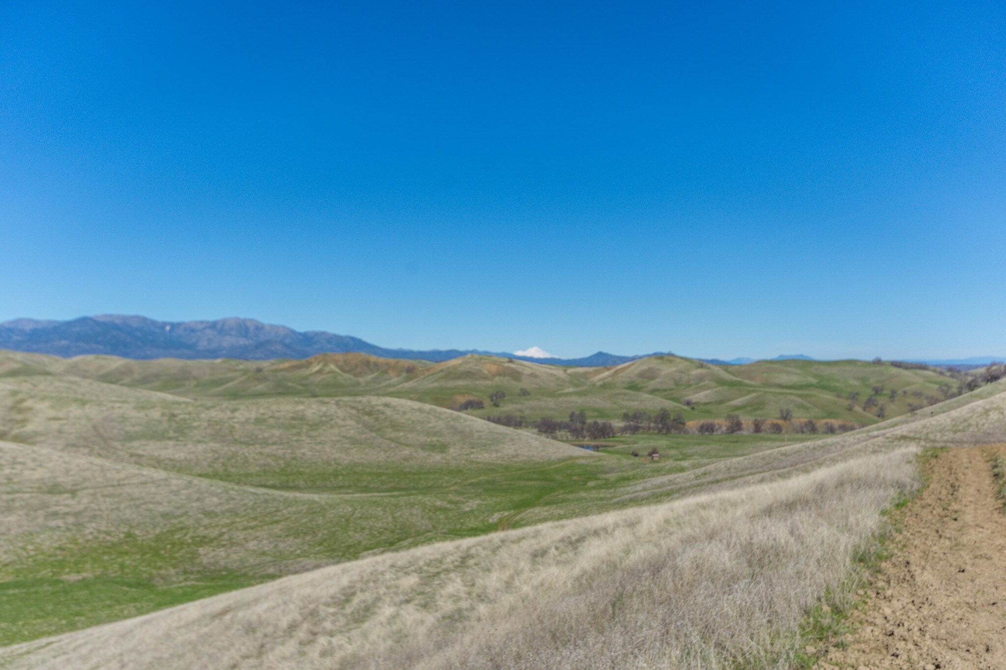 McAuliffe Rd, Igo, CA 96047 - McAuliffe Ranch | LoopNet