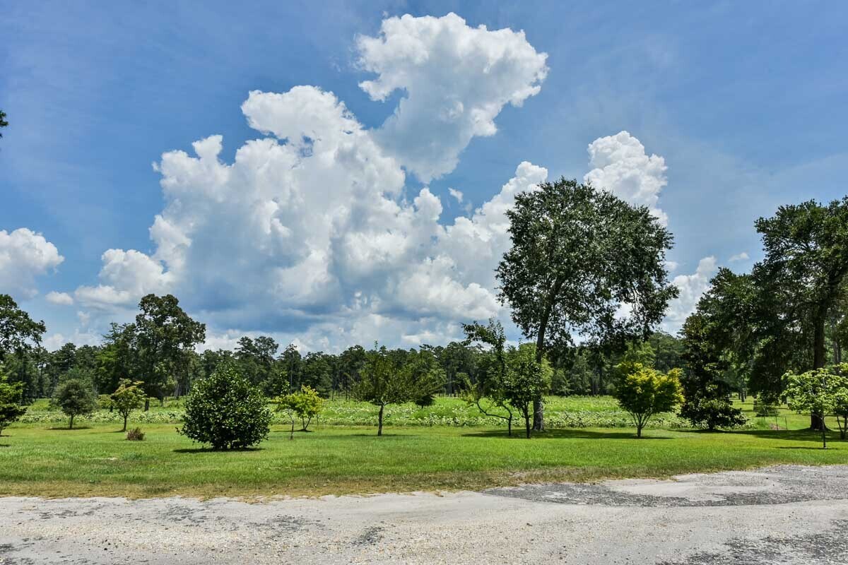 1626 Sumter, Rembert, SC 29128 | LoopNet