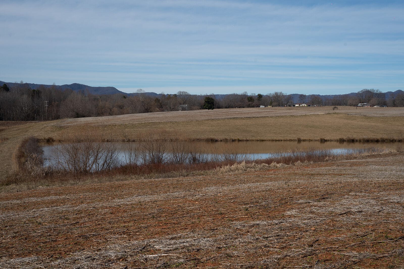Pine Ridge Rd, Mount Airy, NC 27030 - Pine Ridge Road Farm | LoopNet